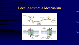 This Just In... - Pharmacology: Therapeutics Review Local Anesthesia Agents